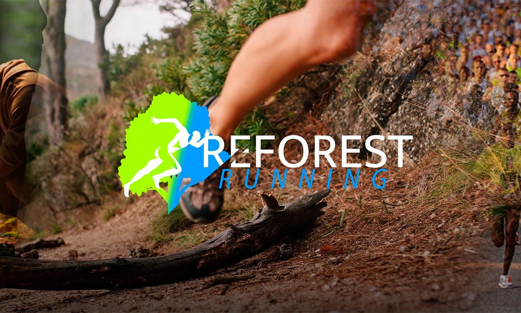 Reforest Running 2024: Una carrera para reforestar Viña del Mar ...