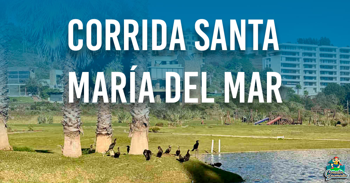 CORRIDA SANTA MARÍA DEL MAR - Corredor Promedio